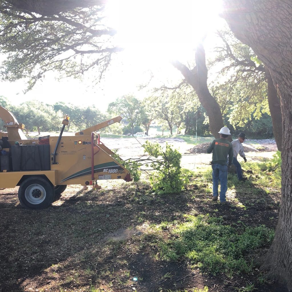 Portfolio | Certified Arbor Care