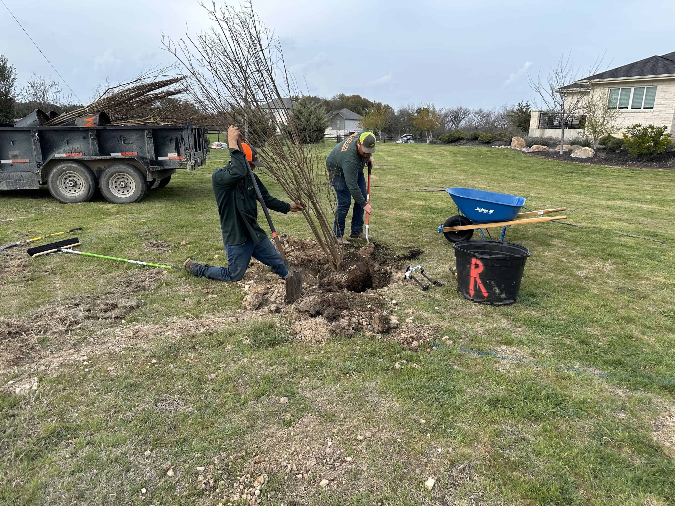 Tree Planting in the Austin Area | Certified Arbor Care